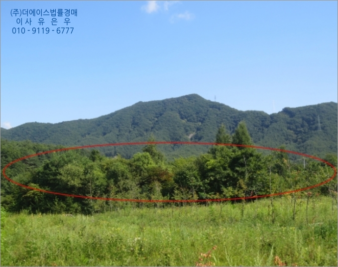 양구군토지전 법원경매 양구군 남면 구암리 시세매매급매전세 더에이스 네이버 블로그