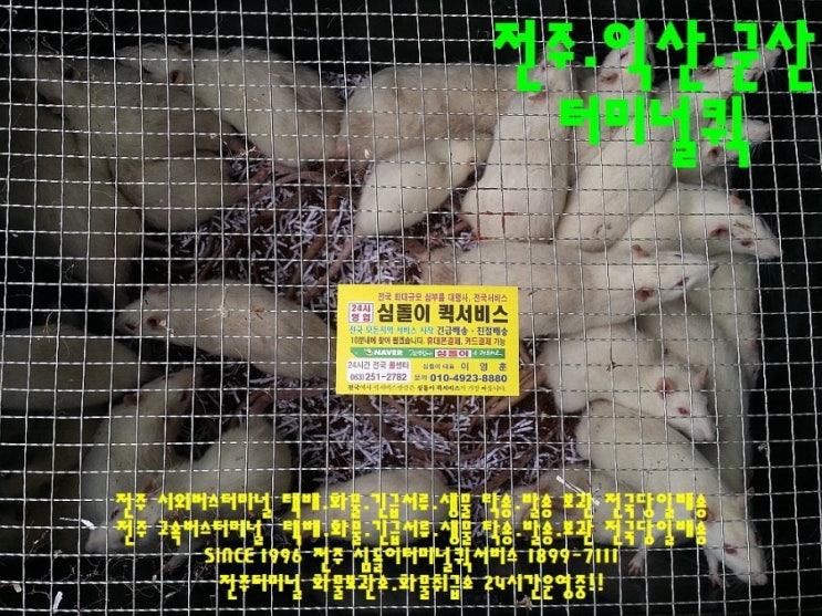 무주시외버스터미널 무주터미널 전북고속전주고속금남고속대한고속호남고속 터미널퀵서비스 택배화물가방캐리어 전국 탁송발송