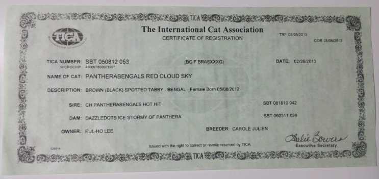 펫퀄리티의 TICA등록증 및 혈통서 발급안내 : 네이버 블로그