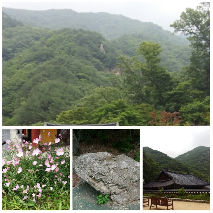 내원사~~ : 네이버 블로그