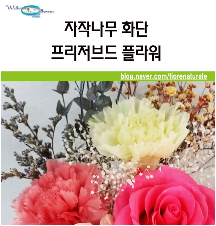 자작나무 화단 프리저브드 플라워 만들기장미프리저브드카네이션프리저브드유칼립투스안개꽃화단만들기 네이버 블로그