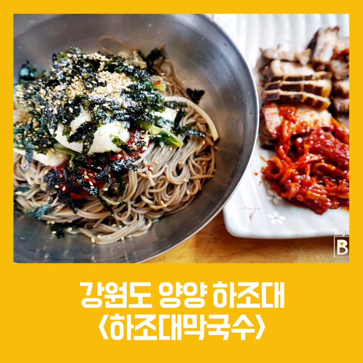 강원도 양양 하조대 맛집 한방수육과 막국수 네이버 블로그