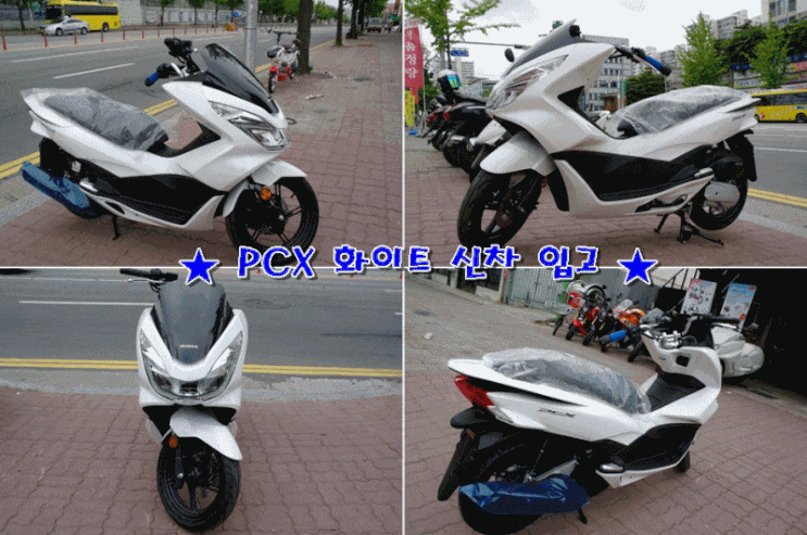 [신차입고] 혼다 PCX 화이트 색상이 도착했어요~~ : 네이버 블로그