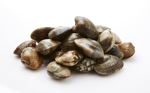 패류독소(shellfish-poison)란, 무엇일까요? : 네이버 블로그