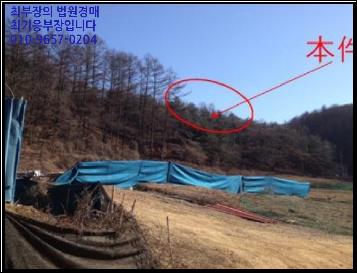 ♠ 연천군 토지임야예상낙찰가♠ 경기 연천군경매경기 연천군 청산면 대전리 산186 경매 무료권리분석♡ 2016타경1437