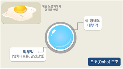 오호(Ooho) 제작 실험 : 네이버 블로그