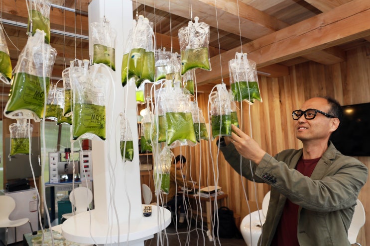 UNIST, 똥이 돈 되는 세상 꿈꾸는 '사이언스 월든 파빌리온' 야외 실험실 공개 : 네이버 블로그