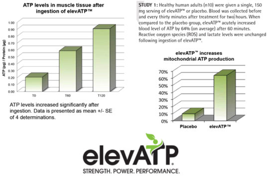 [ATP 증가] elevATP를 아십니까? : 네이버 블로그