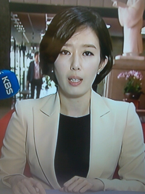 정아영기자 KBS1 국회에서 : 네이버 블로그