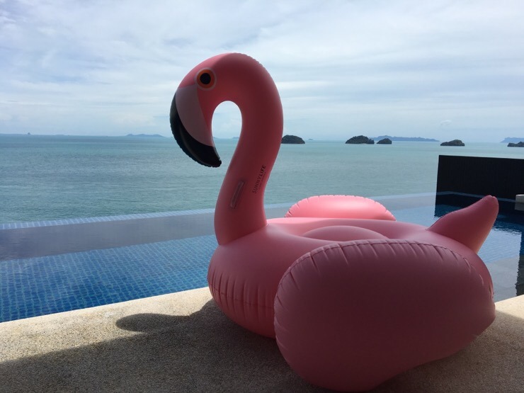 [후기] 요즘 대세, 특별한 튜브, 사진찍기 이쁜 튜브, 써니라이프 "플라밍고 튜브" : 네이버 블로그