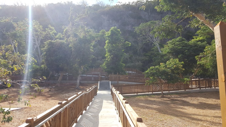 [사이판여행]새로운 투어포인트 정신대동굴 KALABERA CAVE : 네이버 블로그