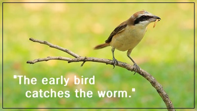 [영어속담한마디/영어표현배우기]"The early bird catches the worm." : 네이버 블로그