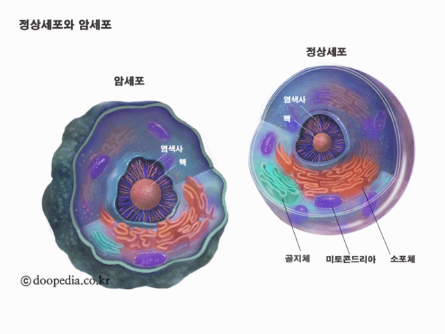 줄-켈빈팽창(Joule-Kelvin expansion), 반전곡선(inversion curve) [ 내가 공부한 열·통계역학 ...