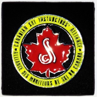 [휘슬러 캐나다 스키 인스트럭터 과정] 영어도 공부하고 CSIA 레벨1도 취득해보자 : 네이버 블로그