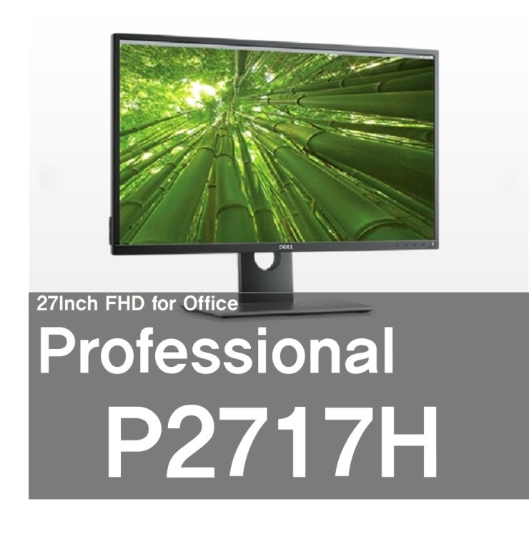 [델] Dell P2717H - 27인치 FHD 전문가용 모니터 : 네이버 블로그