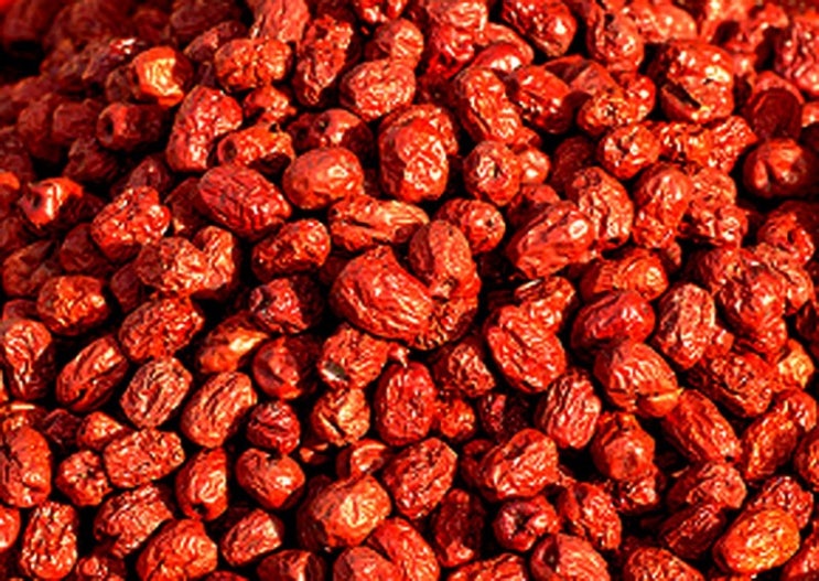 리뷰논문 - 대추(Jujubae Fructus) : 네이버 블로그