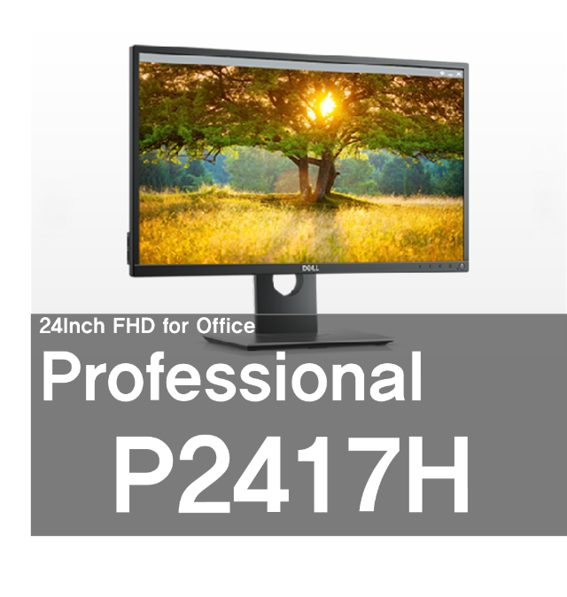 [델] Dell P2417H - 24인치 FHD 전문가용 모니터 : 네이버 블로그