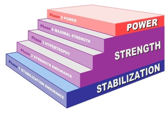 [NASM] OPT(Optimum Performance Training model) 모델이란? : 네이버 블로그