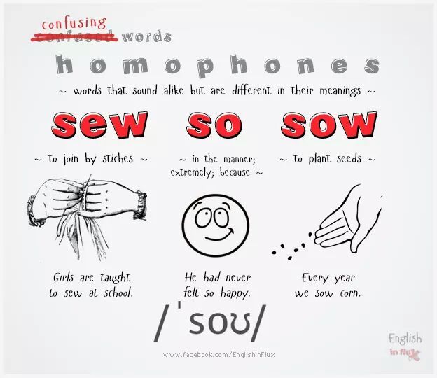 헷갈리는 동음이의어(homophones)-saw/so/sow : 네이버 블로그
