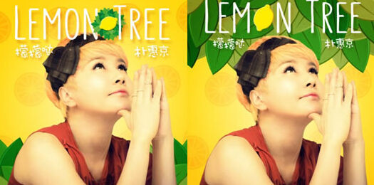 lemon tree中文版