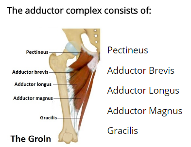 HIP ADDUCTOR MOJO : 네이버 블로그