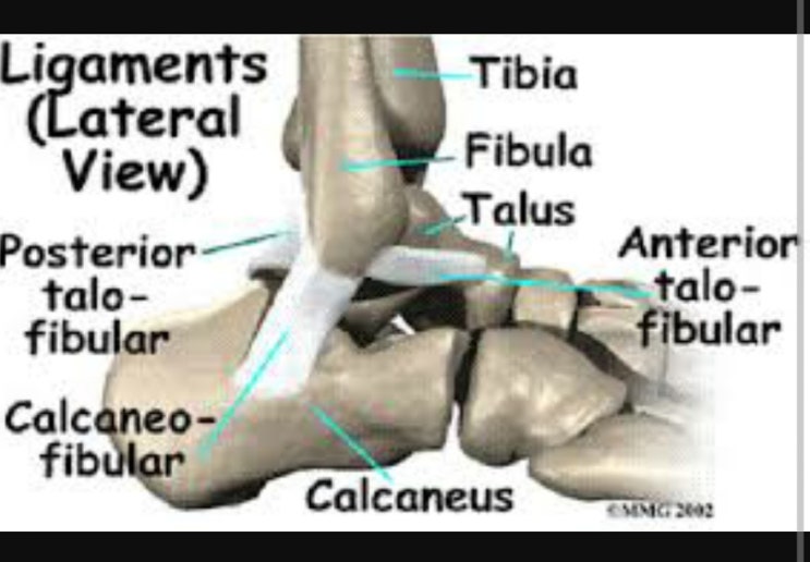 발목 전거비인대(ATFL) 손상과 검사법 : 네이버 블로그