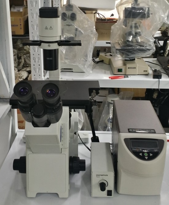 Olympus IX51 도립위상차형광현미경 : 네이버 블로그