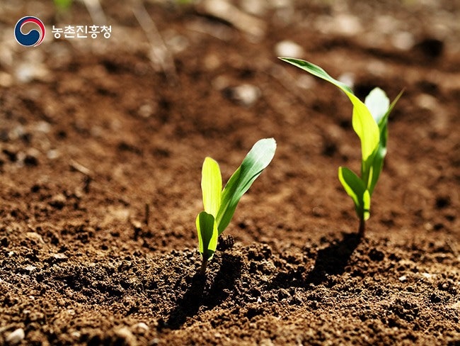 아프리카 농업을 원조하는 KAFACI(카파시)를 아시나요? : 네이버 블로그