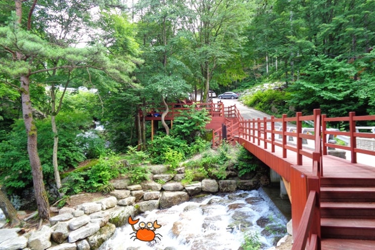 거창 금원산자연휴양림은 산과 계곡이 만든 명품 휴양림 네이버 블로그