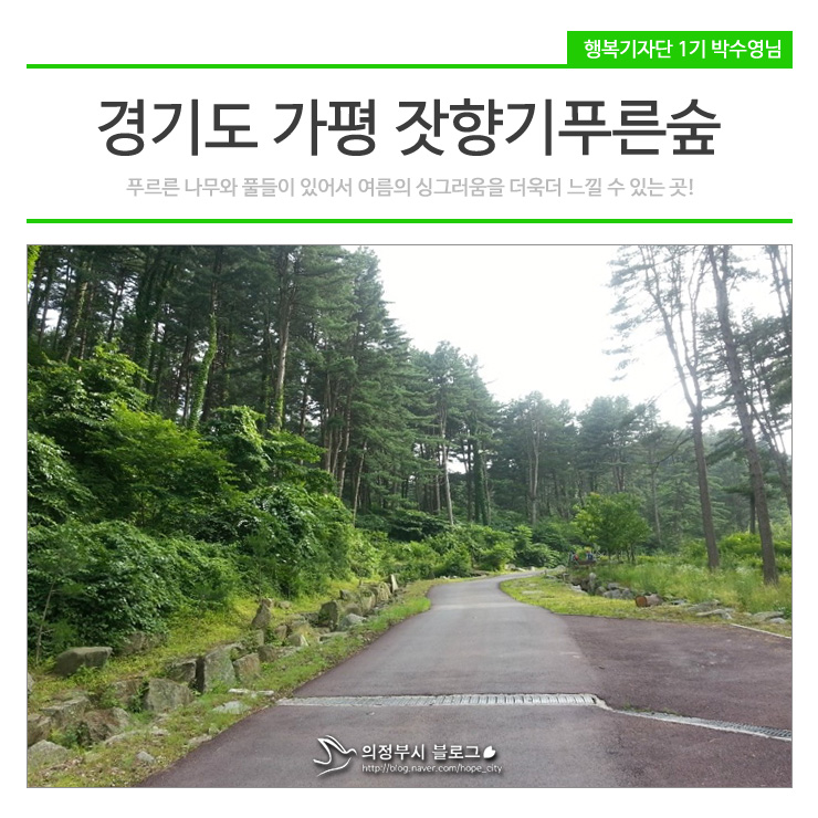 경기도 가평 가볼만한곳 잣향기푸른숲 체험원의 아름다움 네이버 블로그