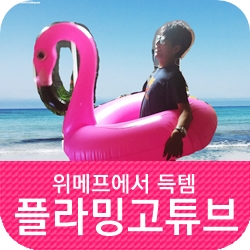 위메프 플라밍고튜브 후기 물 위에서 홍학이 될거야 ㅋㅋ : 네이버 블로그