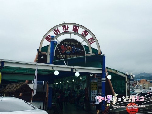 동해여행 묵호항 활어판매센터 자연산회 저렴하게~ 네이버 블로그