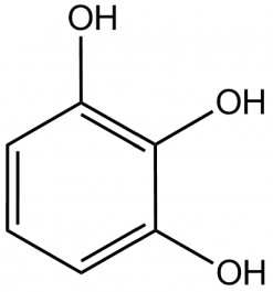 [Phenols] Pyrogallol (피로갈롤); 2,3-Dihydroxyphenol; Pyrogallic acid; 1,2 ...