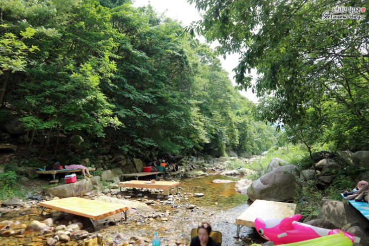 여름휴가지밀양 얼음골계곡얼음골 식육식당평상대여해서백숙오리고기시원한계곡물에 풍덩하기 네이버 블로그