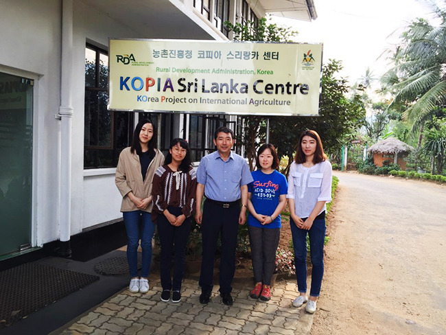 코피아(KOPIA) 스리랑카, 보행이앙기로 벼농사를 책임지다! : 네이버 블로그