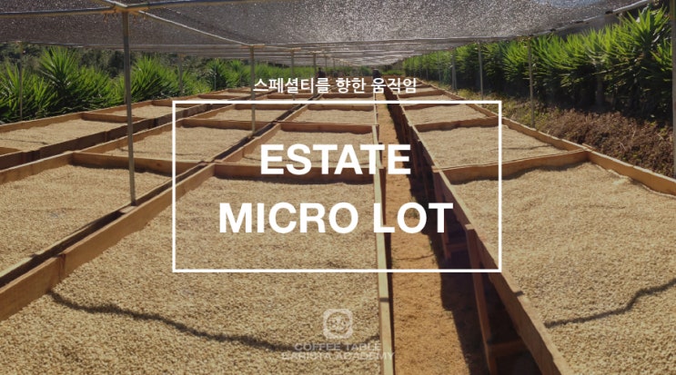 스페셜티 - 2편 스페셜티를 위한 노력 'Estate 와 Micro Lot' : 네이버 블로그
