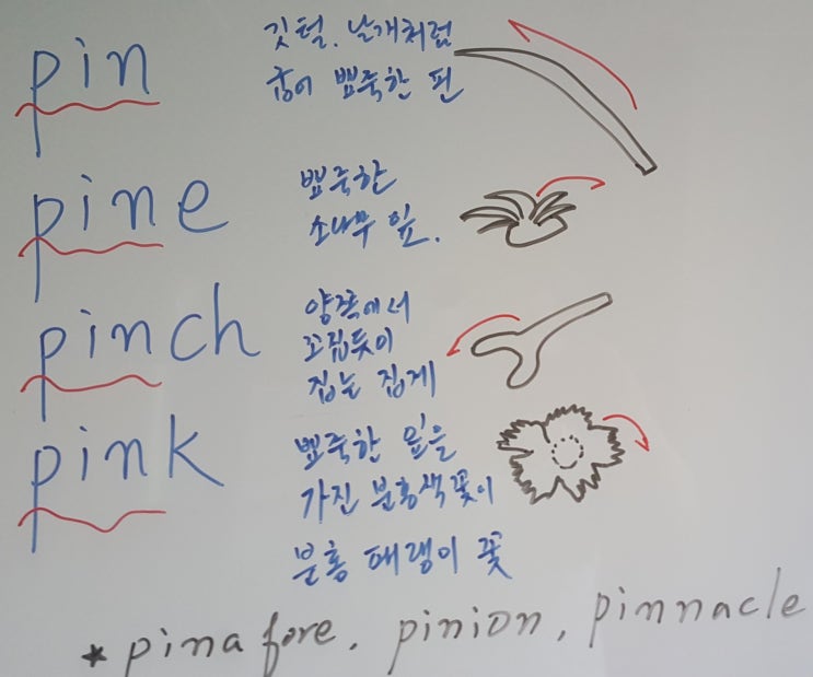 [후크보카] Pin /Pine /Pinch /Pink 영어 어원 : 네이버 블로그