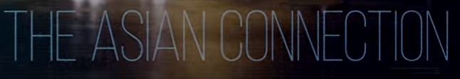 [영화] 스티븐시갈 아시안커넥션 ( The asian connection 2016 ) - 뭔가 2% 부족한 : 네이버 블로그
