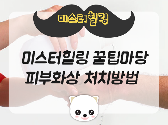 미스터힐링의꿀팁마당 햇빛화상 일광화상 처치방법 피부화상 조심하기 원주데이트코스 네이버 블로그