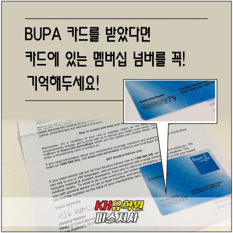 학생보험 BUPA카드 등록(활성화)하기 : 네이버 블로그
