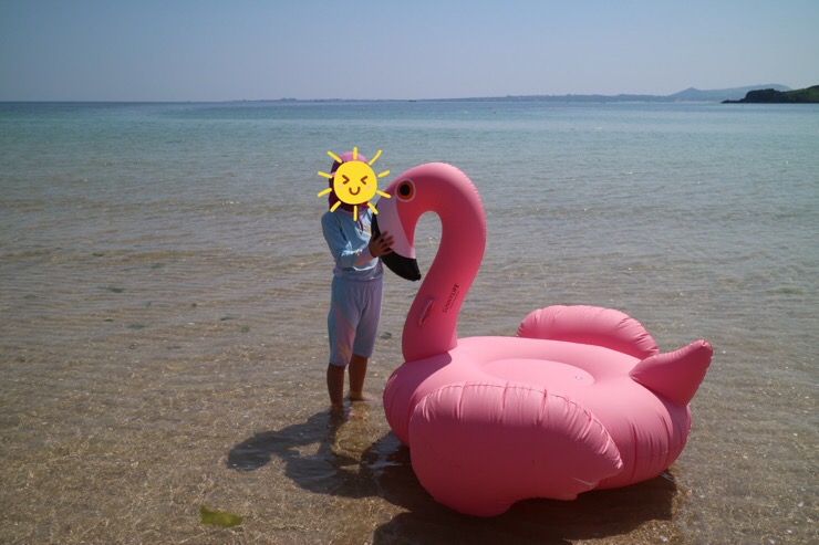 써니라이프 정품 플라밍고 튜브 소품으로 짱!! : 네이버 블로그