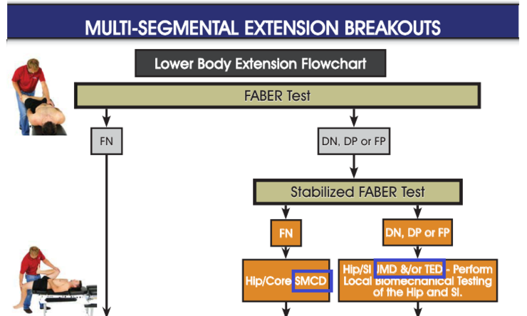 SFMA의 JMD/TED 그리고 SMCD : 네이버 블로그
