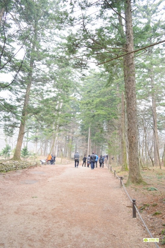 성희롱징계 송년회식 중 사내성추행 혐의로 1년전 사안을 가지고 징계위원회에 회부된 경우 징계소명서 대응 성공사례 네이버 블로그