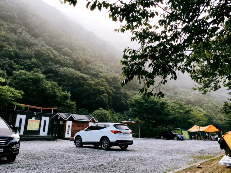 금산산림문화타운 남이자연휴양림 캠핑장서 여름휴가 스타트 네이버 블로그