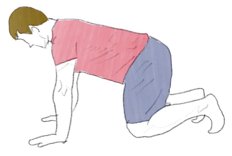 [움직임과 운동]고양이 자세,네발기기 자세(quadruped position) 1 : 네이버 블로그