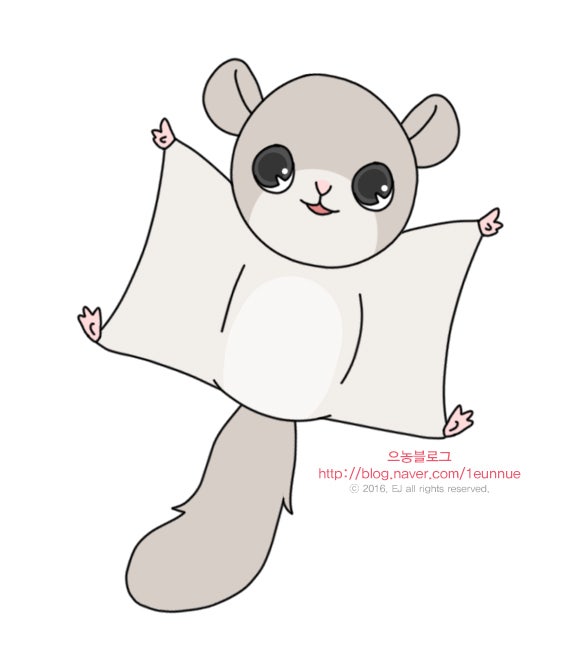 하늘을 나는 다람쥐!! 날다람쥐 캐릭터 그리기 : 네이버 블로그