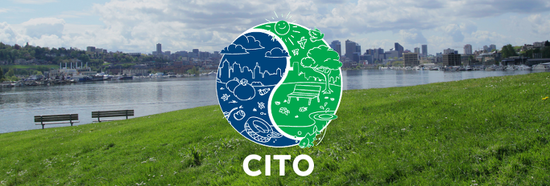 지오캐싱 CITO : 네이버 블로그