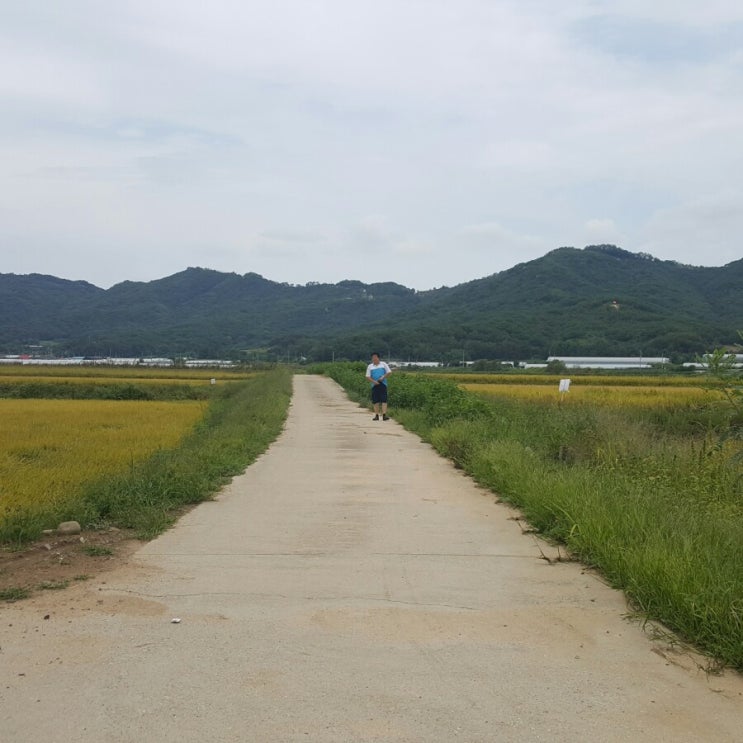 빈 껍데기 인생 : 네이버 블로그