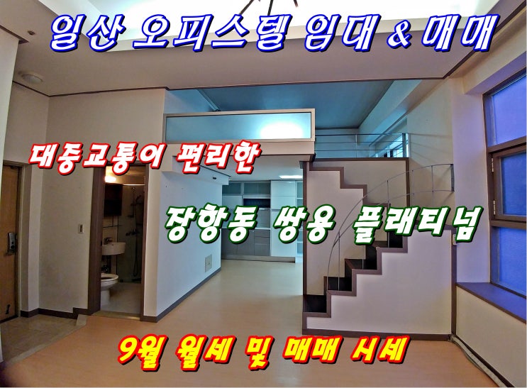 일산 오피스텔 장항동 쌍용플래티넘 9월 월세 임대 및 매매 네이버 블로그