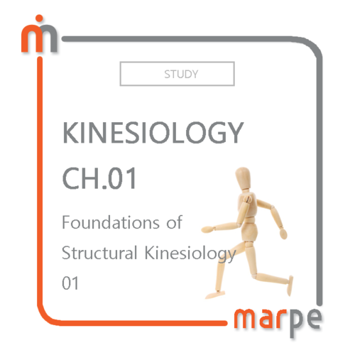 [KINESIOLOGY] Chapter.01 Foundations of Structural Kinesiology (01 ...